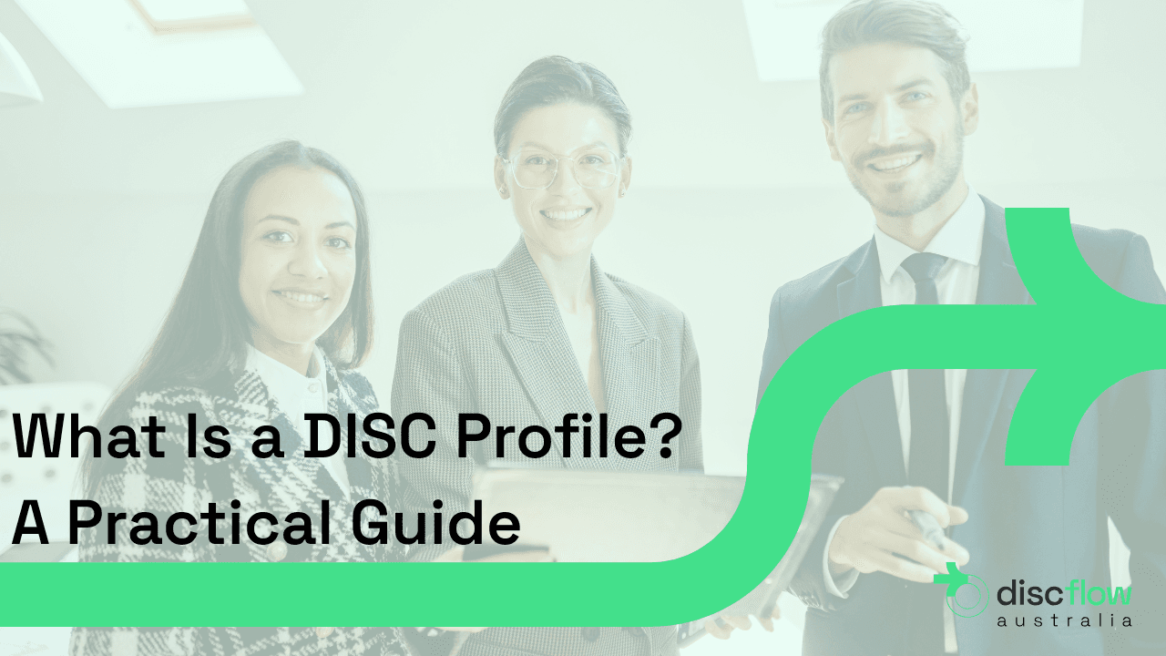 What Is a DISC Profile? A Practical Guide for HR, Leaders and Coaches ...